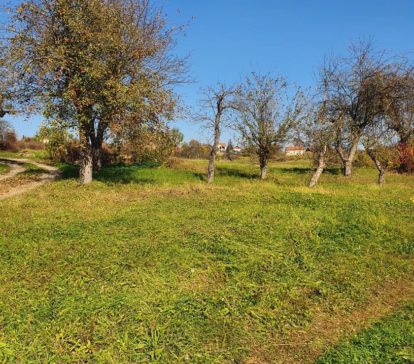 Placevi gradjevinsko zemljiste (autoputem 60min od Beograda) - Kupi ...